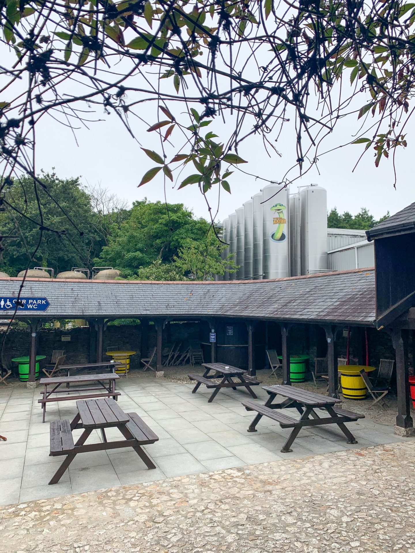 Cornwall Staycation: Things to See and Do | hannatalks