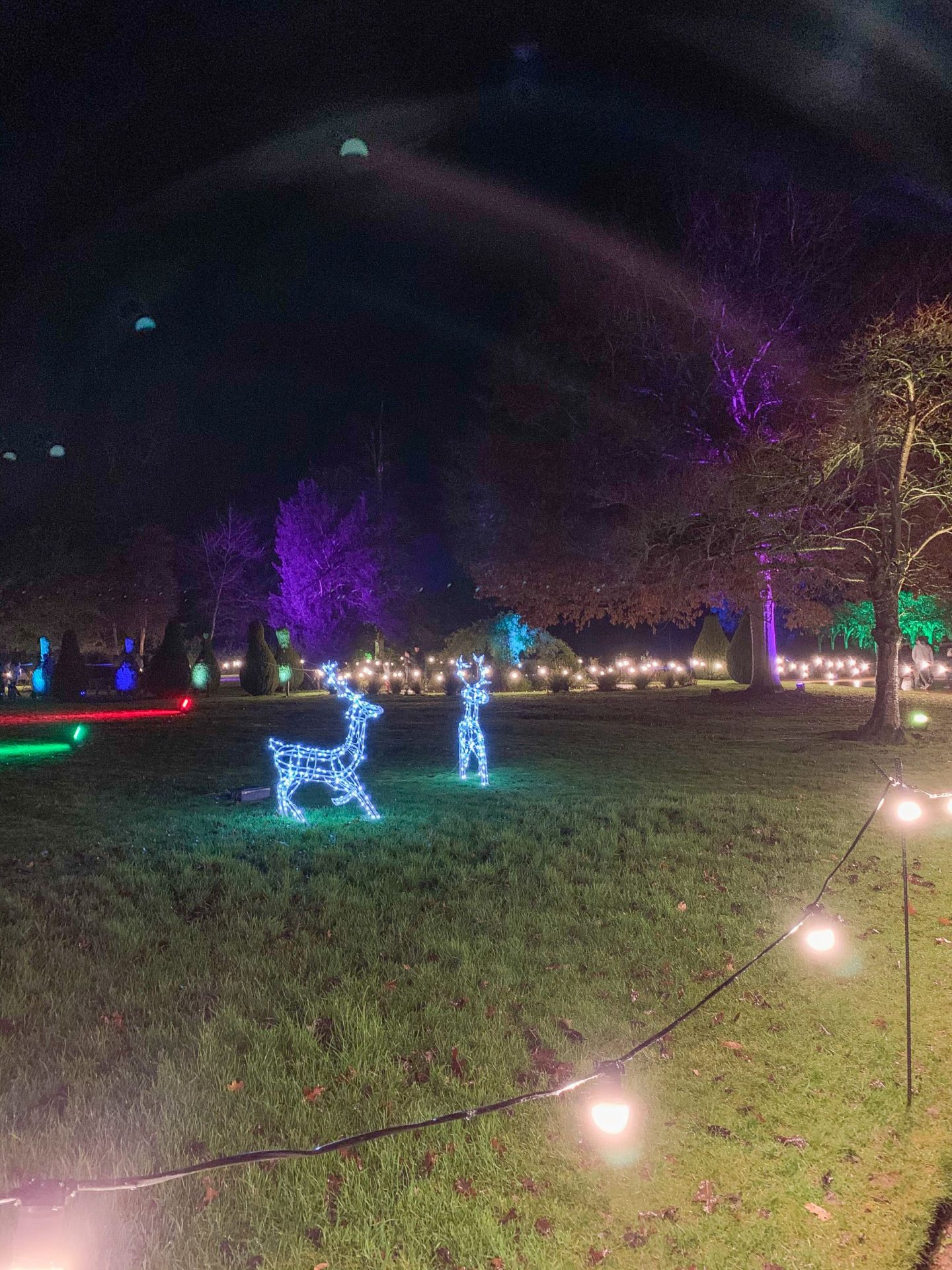 Hylands Park Outdoor Light Trail | hannatalks